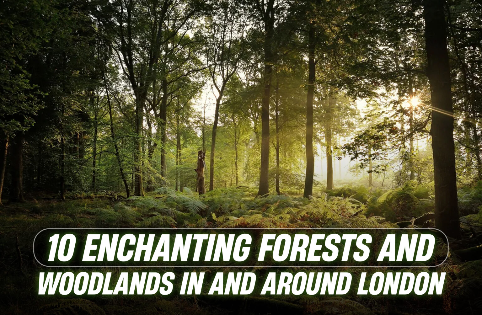 10 Enchanting Forests and Woodlands In and Around London - Best In UK